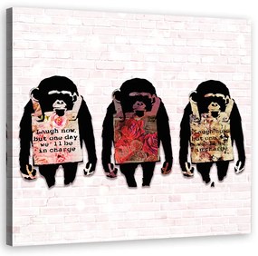 Obraz na plátně, Banksy se směje opice - 50x50 cm
