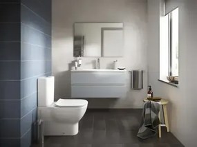 Ideal Standard IOM - WC štětka samostatně stojící |nerezová ocel