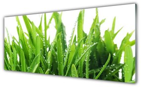 akrylový obraz Tráva Rostlina 125x50 cm