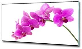 Wallmuralia Fotoobraz na skle Růžová orchidej 100x50