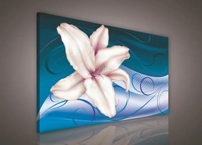 Obraz na plátně lilie na modrém podkladu 100 x 75 cm