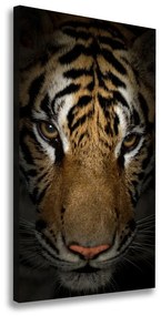 Wallmuralia Vertikální Moderní fotoobraz canvas na rámu Tygr 50x100