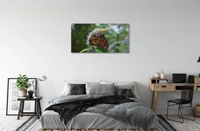 Obraz na skle Květ barevný motýl 125x50 cm