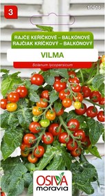 Rajče Keříčkové balkónové - Vilma (Solanum lycopersicum)