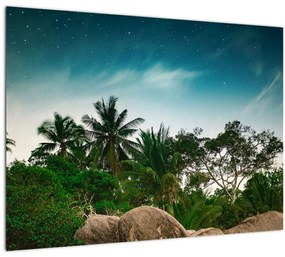 Skleněný obraz - palmy (70x50 cm)
