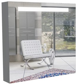 INTEDOOR zrcadlová třídveřová skříňka s integrovaným LED osvětlením R ZS 100 LED Varianta: A5866 Světle šedá MAT