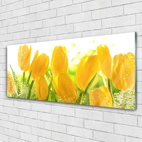 akrylový obraz Tulipány Květiny Rostlina 125x50 cm