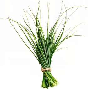 Aromatický polštář Lemongrass 50x70 cm EMI