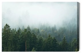 Obraz Amazing Mystical Rising Fog Forest Trees Landscape In Black Forest ( Schwarzwald ) Germany Panorama Banner - Dark Mood Nedostatek Nedostatek Přírodní plátno 30x20