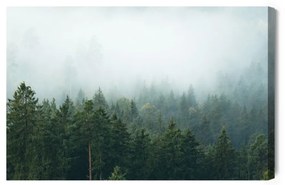 Obraz Amazing Mystical Rising Fog Forest Trees Landscape In Black Forest ( Schwarzwald ) Germany Panorama Banner - Dark Mood Nedostatek Nedostatek Přírodní plátno 70x50