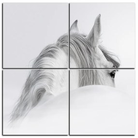 Obraz na plátně - Andaluský kůň v mlze - čtverec 3219D (100x100 cm)