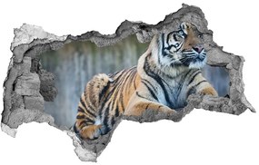 Wallmuralia Nálepka 3D díra na zeď Tygr 95x73 cm