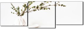 Obraz na plátně - Větev eukalyptu v bílé váze na bílém pozadí - panoráma 5272D (90x30 cm)