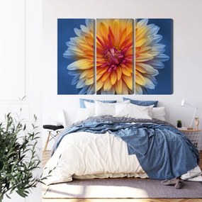 Vícedílný obraz Chryzantéma Květina Zblízka 3D Nedostatek Nedostatek Přírodní plátno 150x100