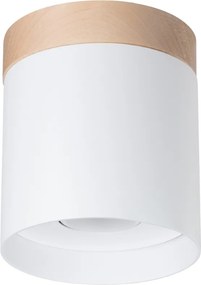 Sollux Lighting Stropní svítidlo RIF bílé