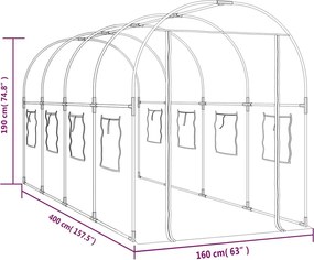 Skleník průhledný 160 x 400 x 190 cm PVC práškově lakovaná ocel 317247