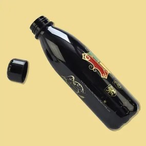 Blue Sky Studios Láhev Harry Potter / Láhev / 650 ml