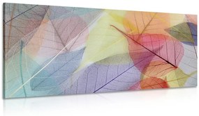 Obraz žilky na barevných listech Varianta: 100x50
