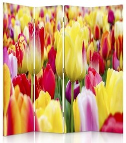 Ozdobný paraván, Pestrobarevné tulipány - 145x170 cm, čtyřdílný, obustranný paraván 360°