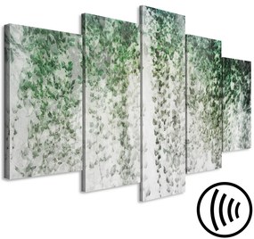 Obraz Pergola klidu - kompozice se zeleným břečťanem na pozadí zdi