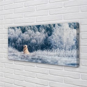 Obrazy na plátně Zimě salašnický pes 120x60 cm