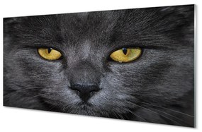Obraz na skle Černá kočka 125x50 cm