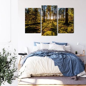 Vícedílný obraz Ranní Sluneční Paprsky V Lese Nedostatek Nedostatek Přírodní plátno 180x120