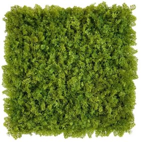 Shaggy moss green, dílec 50 x 50 cm