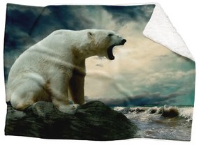 IMPAR Fleecová deka Lední medvěd 150x120 cm (Rozměr : 150 x 120 cm, Podšití beránkem: ANO)