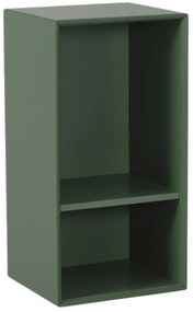 Zelená lakovaná modulární knihovna Tenzo Z 36 x 32 cm
