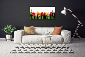 Obraz na plátně Tulipány Rostlina 140x70 cm