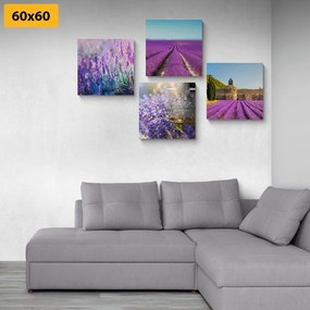 Set obrazů pro milovníky levandule - 4x 60x60 cm