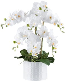 Gasper Umělá orchidej v keramickém květináči, 60 cm, bílá