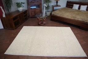 MONO Kusový koberec Efor Shaggy 2137 Cream BARVA: Krémová, ROZMĚR: 120x170 cm