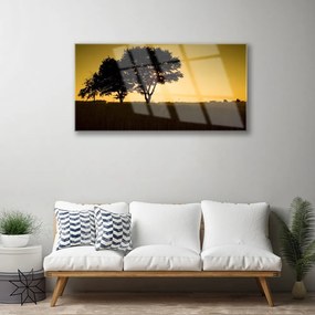 akrylový obraz Stromy Příroda Rostlina 100x50 cm