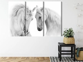 Vícedílný obraz Dva Koně Na Bílém Pozadí Nedostatek Nedostatek Přírodní plátno 180x120