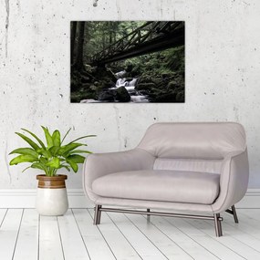 Skleněný obraz z černého lesa (70x50 cm)