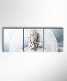 Malvis ® Obraz Anděl v nebi ROZMĚR (šířka x výška): třídílný obdélník 150x60 cm