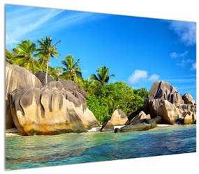 Obraz mořské pláže s palmami (100x70 cm)