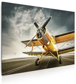 Malvis ® Obraz Žluté letadlo Velikost (šířka x výška): 150x100 cm