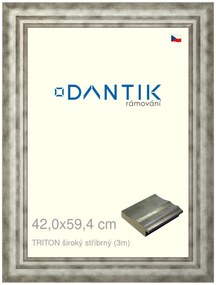 DANTIK rámeček 42x59,4 | TRITON široký stříbrný (Plexi Čiré)