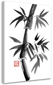 Gario Obraz na plátně Hezký černobílý bambus - Péchane Rozměry: 40 x 60 cm