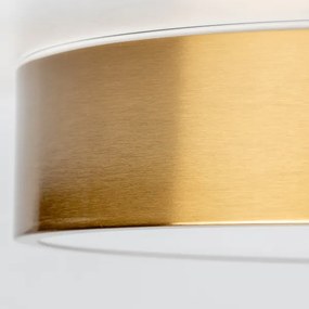 Brilagi - LED Koupelnové stropní svítidlo POOL LED/24W/230V pr. 30 cm IP54 bronz