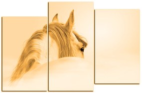Obraz na plátně - Andaluský kůň v mlze 1219FC (105x70 cm)