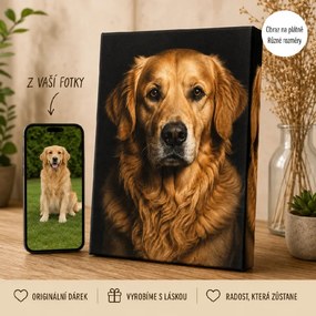 Foto obraz z vlastní fotky na plátno – Studiový portrét mazlíčka z fotky (Black Edition) Rozměry obrazu: 80 x 120 cm