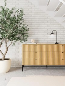 ACTONA Komoda ALBANY hnědá 157,9x40 cm