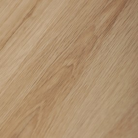 Autronic Konferenční stolek CT-F4312 60x120 cm Odstín: Staré dřevo