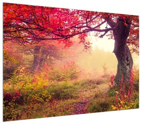 Obraz podzimní lesní krajiny (100x70 cm)