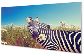 Obraz na skle zebra květiny 125x50 cm