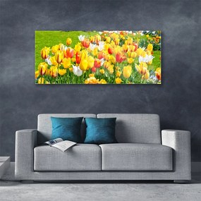 Plexisklo-obraz Tulipány Květiny Příroda 125x50 cm